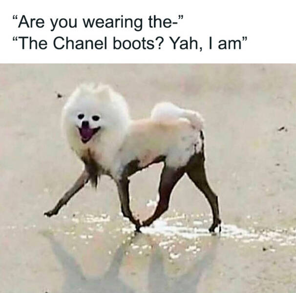 Totally Random, Absolutely Hilarious Memes (40 PICS) - Izismile.com