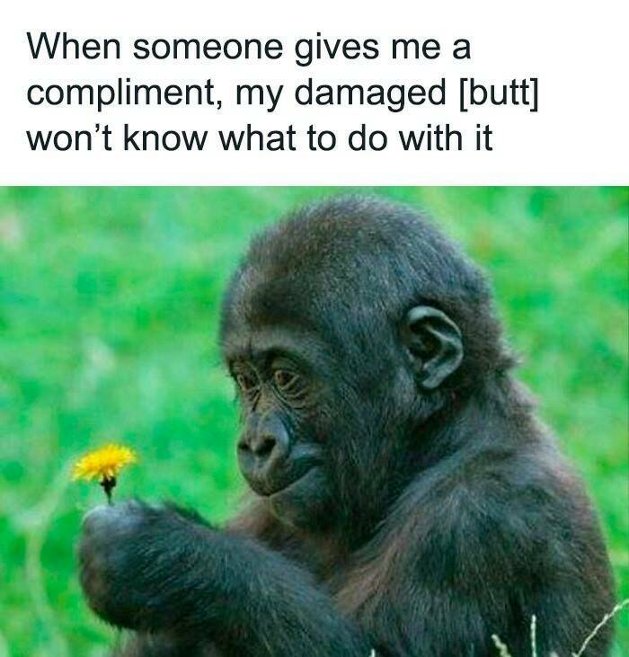 Totally Random, Absolutely Hilarious Memes (40 PICS) - Izismile.com