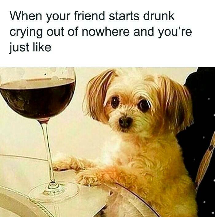 Totally Random, Absolutely Hilarious Memes (40 PICS) - Izismile.com