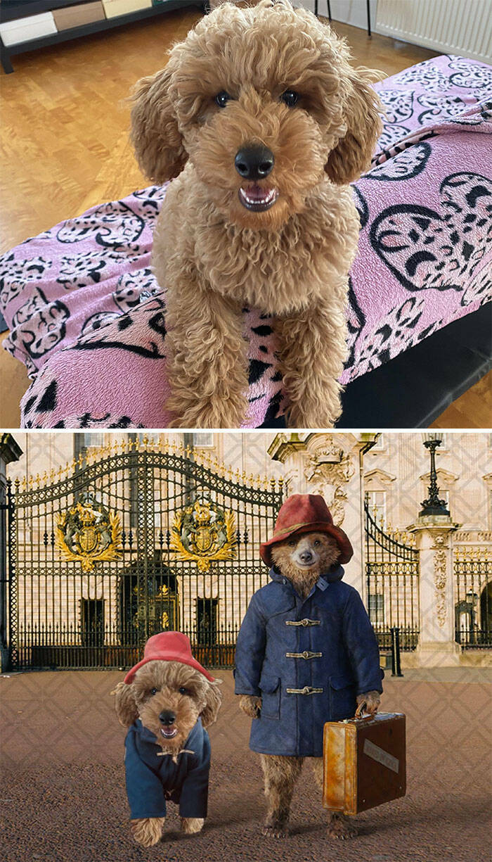 When People Asked for Photo Edits and Got Hilarious Results (46 PICS ...