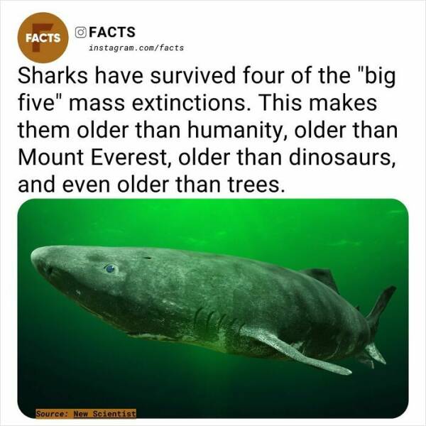 A Collection Of The Most Interesting And Fascinating Facts Ever (48 ...
