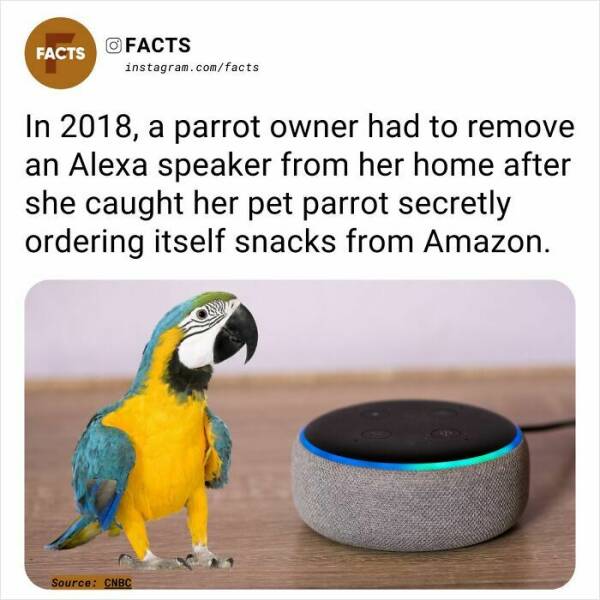 A Collection Of The Most Interesting And Fascinating Facts Ever (48 ...