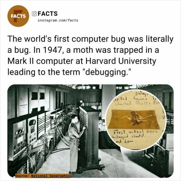 A Collection Of The Most Interesting And Fascinating Facts Ever (48 ...