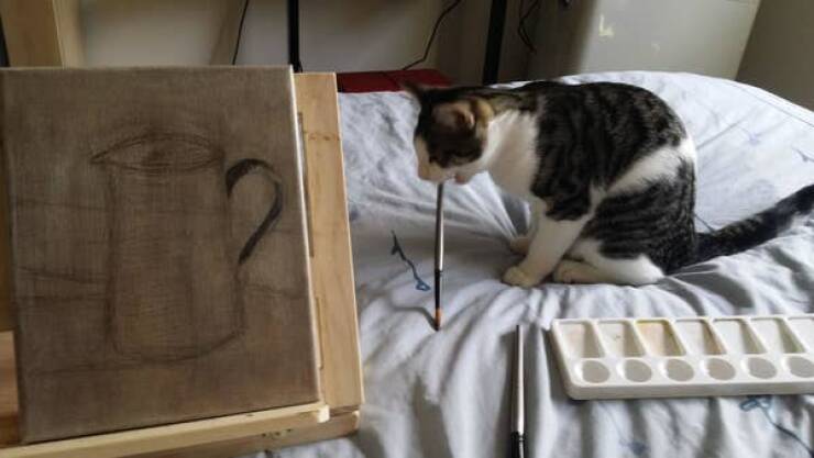 Adorable Animals At Work That’ll Make Your Day Better (20 PICS ...