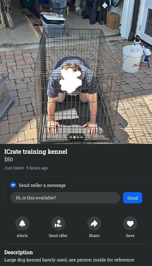 The Wild, Weird World of Facebook Marketplace Finds (24 PICS ...