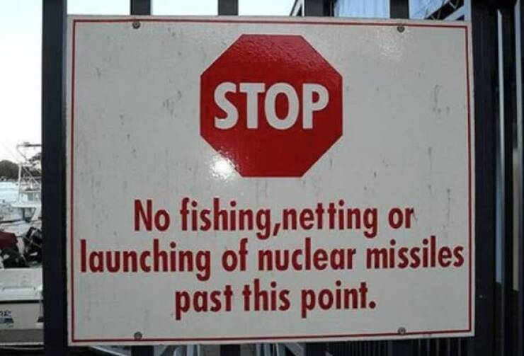 Funny Photos Guaranteed To Make Even The Most Hopeless Smile (50 PICS ...