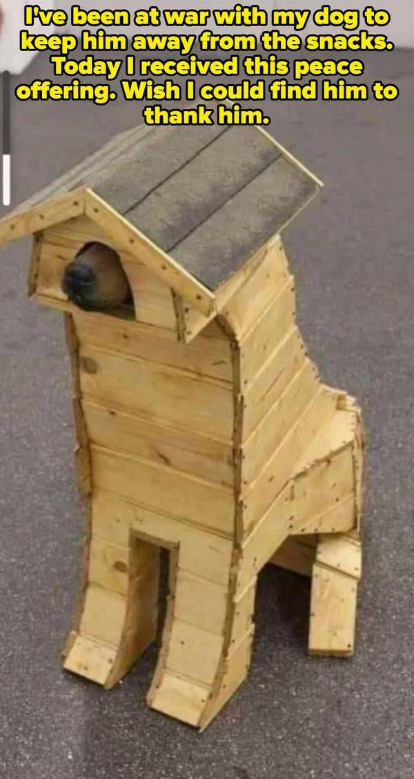 Funny Photos Guaranteed To Make Even The Most Hopeless Smile (50 PICS ...