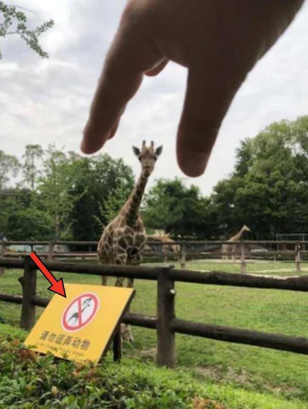 Funny Photos Guaranteed To Make Even The Most Hopeless Smile (50 PICS ...