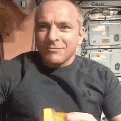 Daily Gifdump (60 GIFS) - Izismile.com