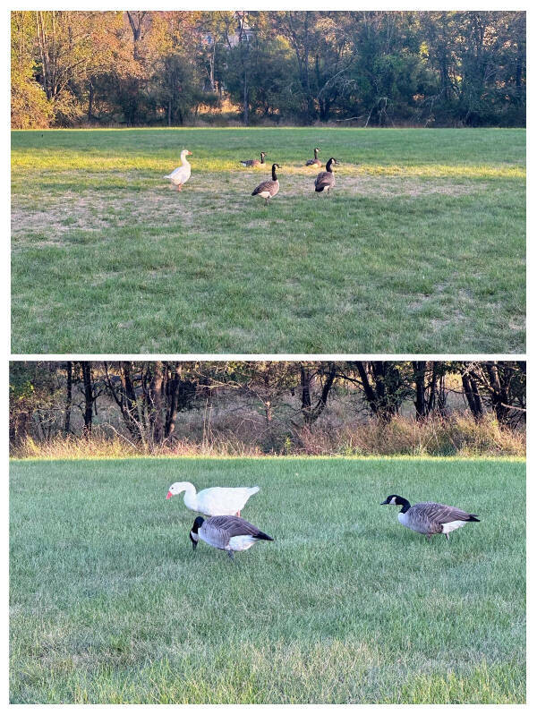 Mildly Satisfying, Mildly Awesome Moments (25 PICS) - Izismile.com