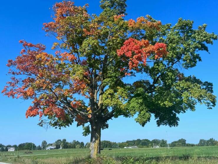Breathtaking Fall Foliage From Every Corner of the Globe (50 PICS ...