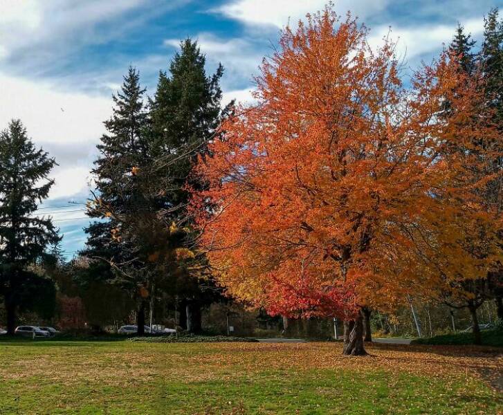 Breathtaking Fall Foliage From Every Corner of the Globe (50 PICS ...