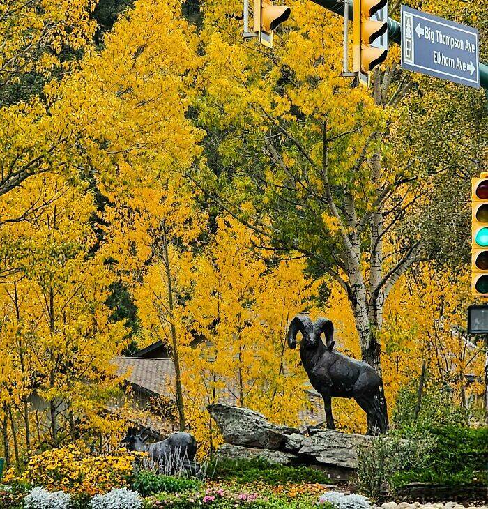 Breathtaking Fall Foliage From Every Corner of the Globe (50 PICS ...