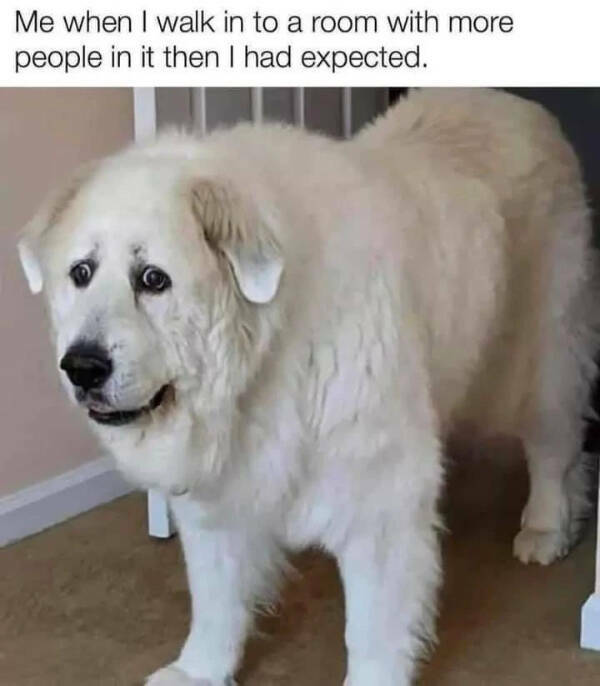 A Bunch of Random Memes for No Reason (37 PICS) - Izismile.com