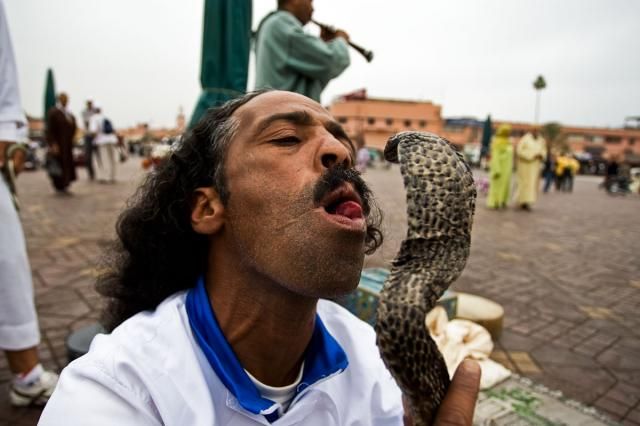 Snake charming (5 pics) - Izismile.com