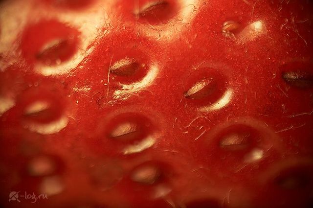 Close-up photography of vegetables, fruits and some objects (18 pics ...