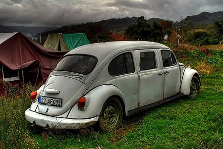 15 really weird Limos (15 pics) - Izismile.com