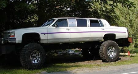 15 really weird Limos (15 pics) - Izismile.com