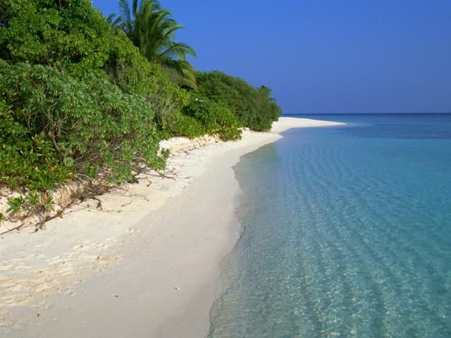 Beaches in the Maldives (40 pics) - Izismile.com