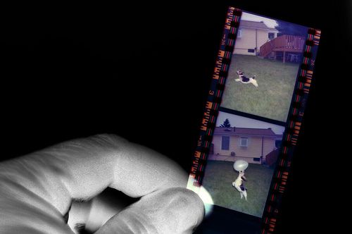 The world in negative (31 pics) - Izismile.com