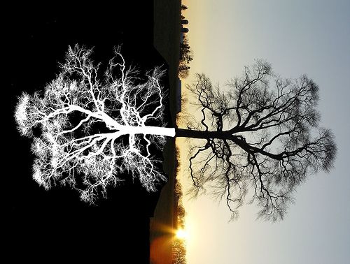 The world in negative (31 pics) - Izismile.com