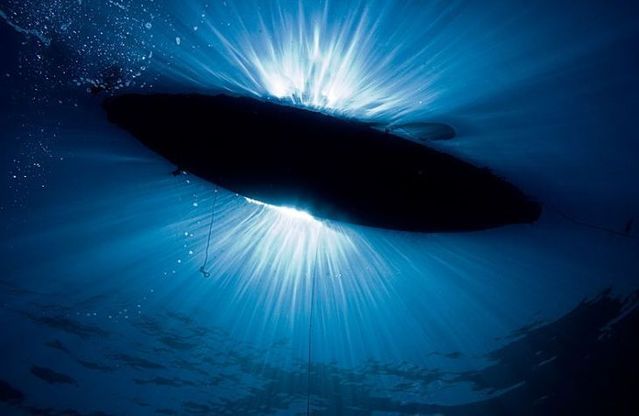Beautiful things to see underwater (17 pics) - Izismile.com