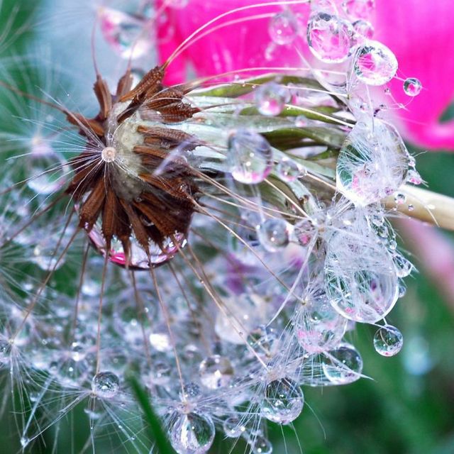 Beautiful raining photos (19 pics) - Izismile.com