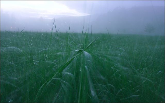 Beautiful raining photos (19 pics) - Izismile.com