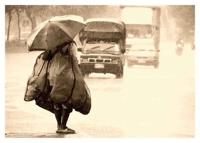 Beautiful raining photos (19 pics) - Izismile.com