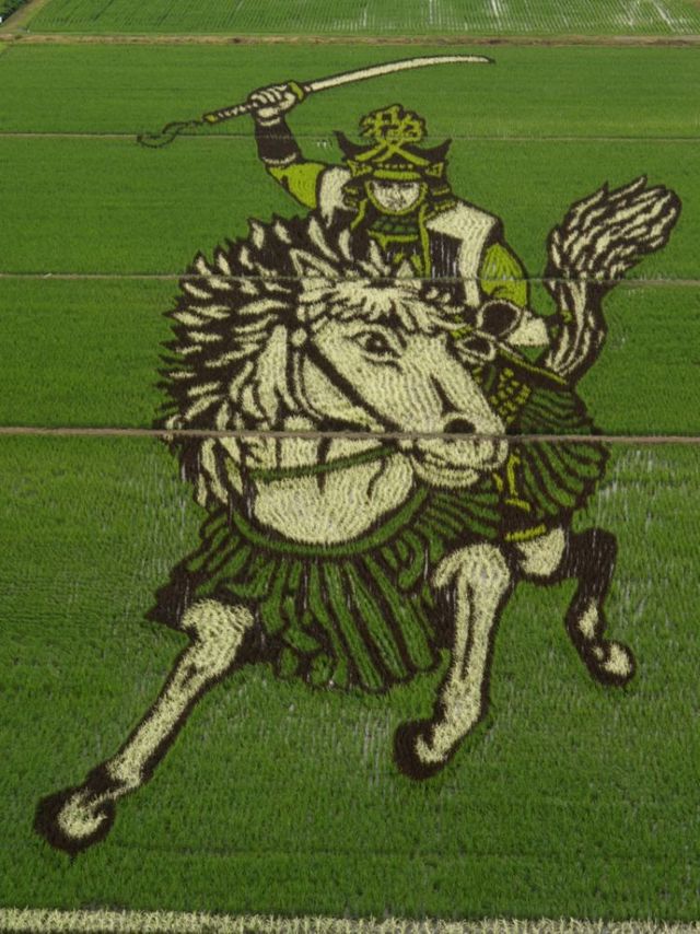 Amazinz rice paddy crop art (14 pics) - Izismile.com