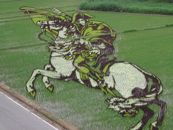 Amazinz rice paddy crop art (14 pics) - Izismile.com