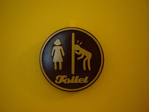 Humorous and unclear toilet signs or directions (20 pics) - Izismile.com