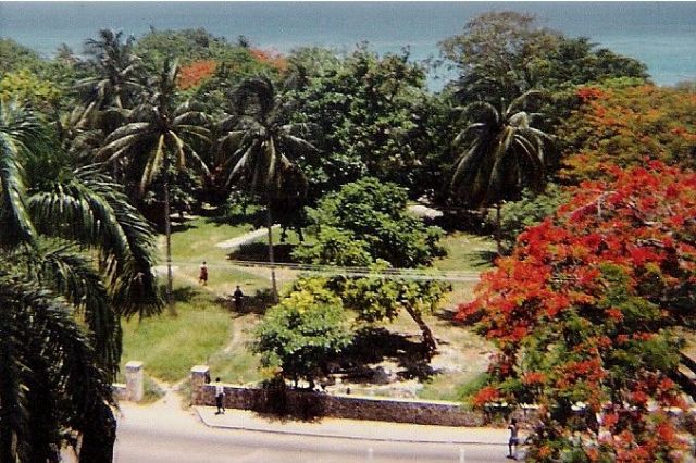 Beautiful pictures of Jamaica (38 pics) - Izismile.com