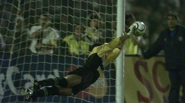 Cool pics of goalkeepers in movement (27 pics) - Izismile.com