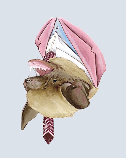 Animal drawn portraits in clothing (18 pics) - Izismile.com