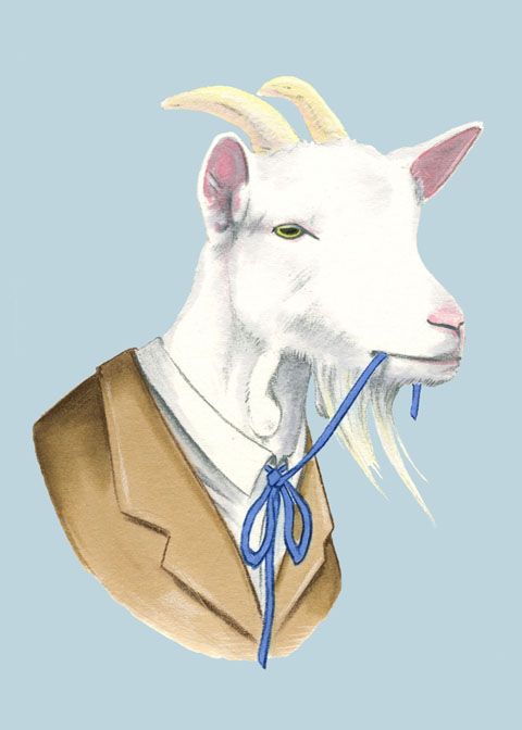 Animal drawn portraits in clothing (18 pics) - Izismile.com