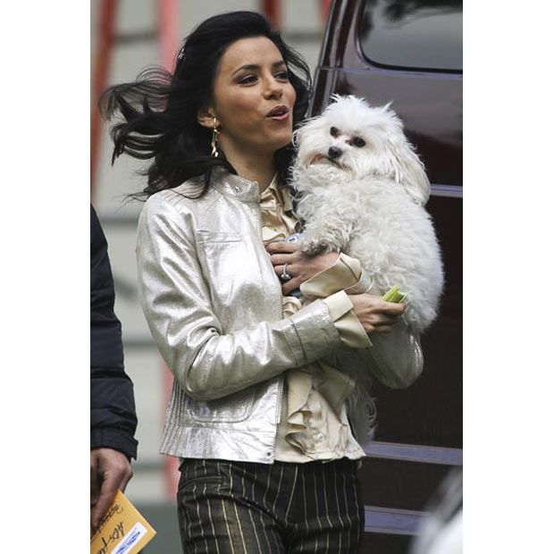 Celebrities and their pets (16 pics) - Izismile.com
