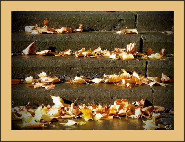 Beautiful autumn-themed pictures (40 pics) - Izismile.com