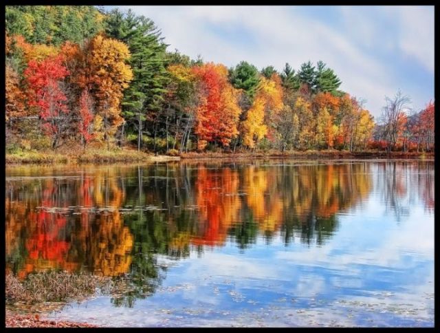 Beautiful autumn-themed pictures (40 pics) - Izismile.com
