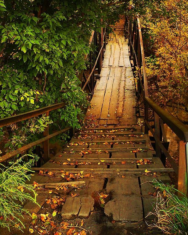 Beautiful autumn-themed pictures (40 pics) - Izismile.com