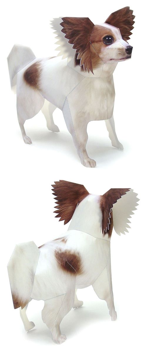 Incredible Japanese art – paper dogs (5 pics) - Izismile.com