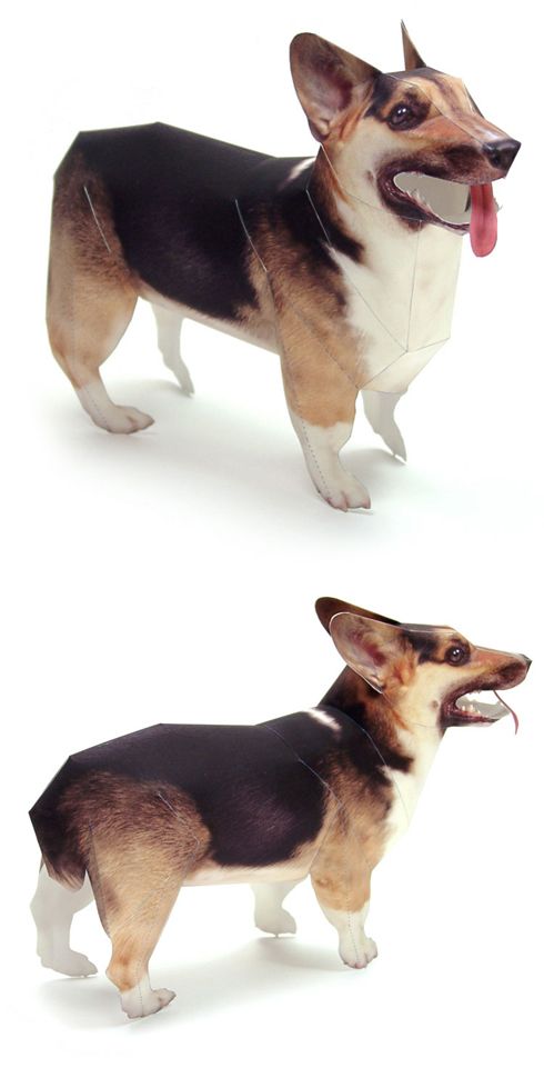 Incredible Japanese art – paper dogs (5 pics) - Izismile.com