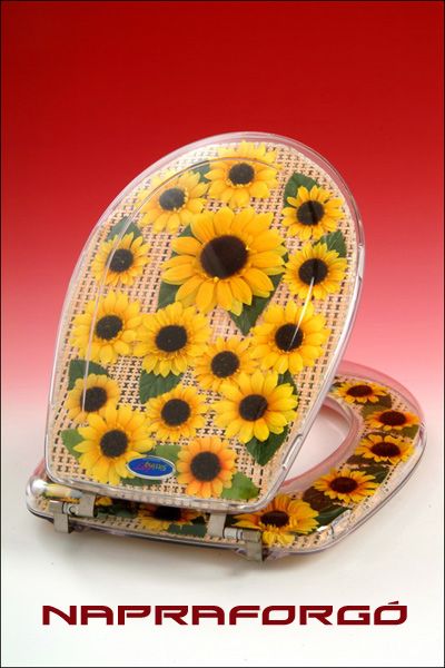 Creative toilet lids (13 pics) - Izismile.com