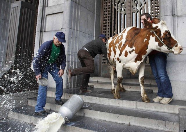 Milk strike (6 pics) - Izismile.com