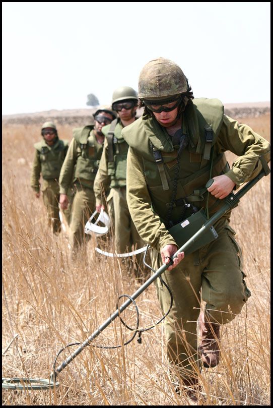 Mine clearance (12 pics) - Izismile.com