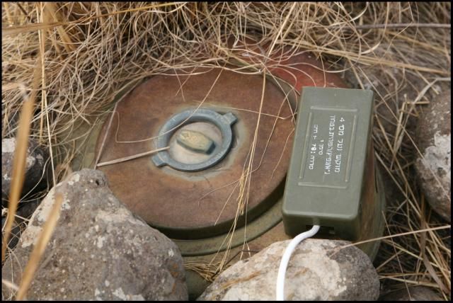 Mine clearance (12 pics) - Izismile.com