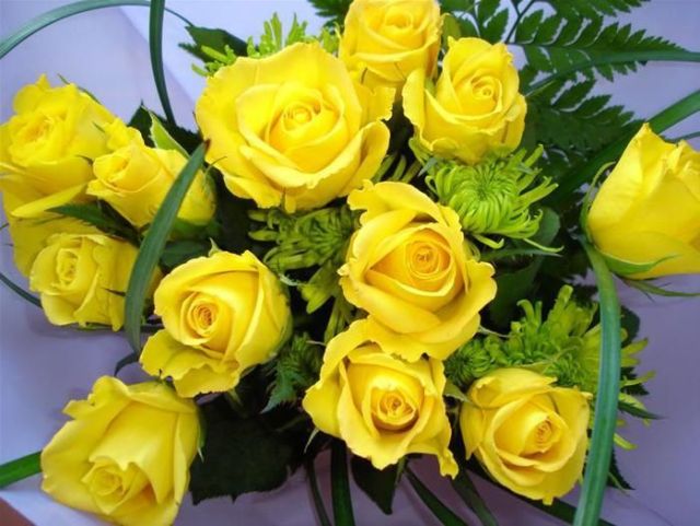 Beautiful yellow roses (32 pics) - Izismile.com