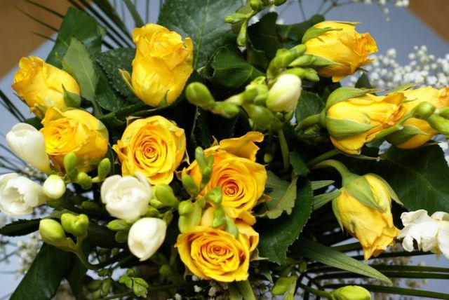 Beautiful yellow roses (32 pics) - Izismile.com