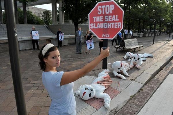 PETA manifestation for seal protection (10 pics) - Izismile.com