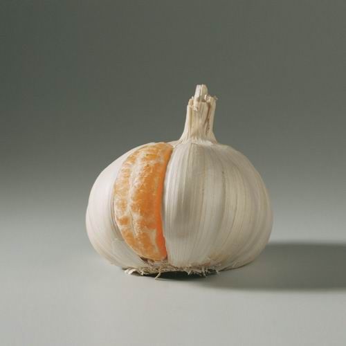 Great creative objects (19 pics) - Izismile.com